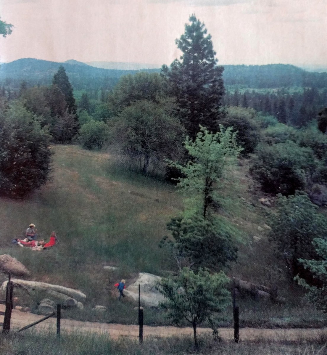 How We Became Country Hippies – Tom DeVries